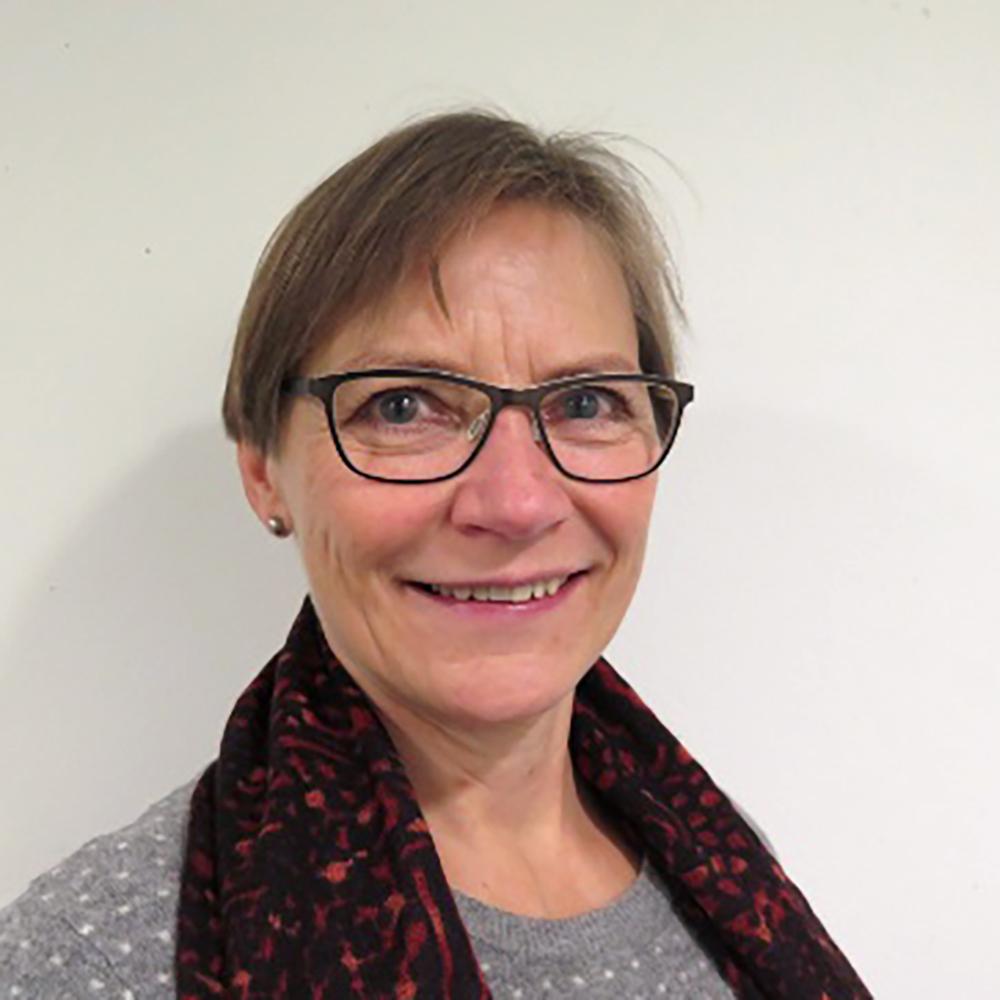 Ny prodekan for forsking ved HSL | UiT